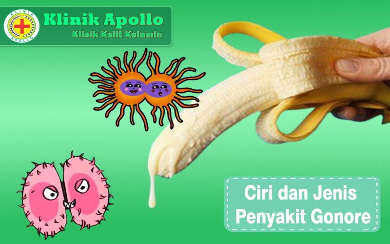 Jenis Penyakit Raja Singa yang Patut Diwaspadai | Klinik Apollo Jakarta