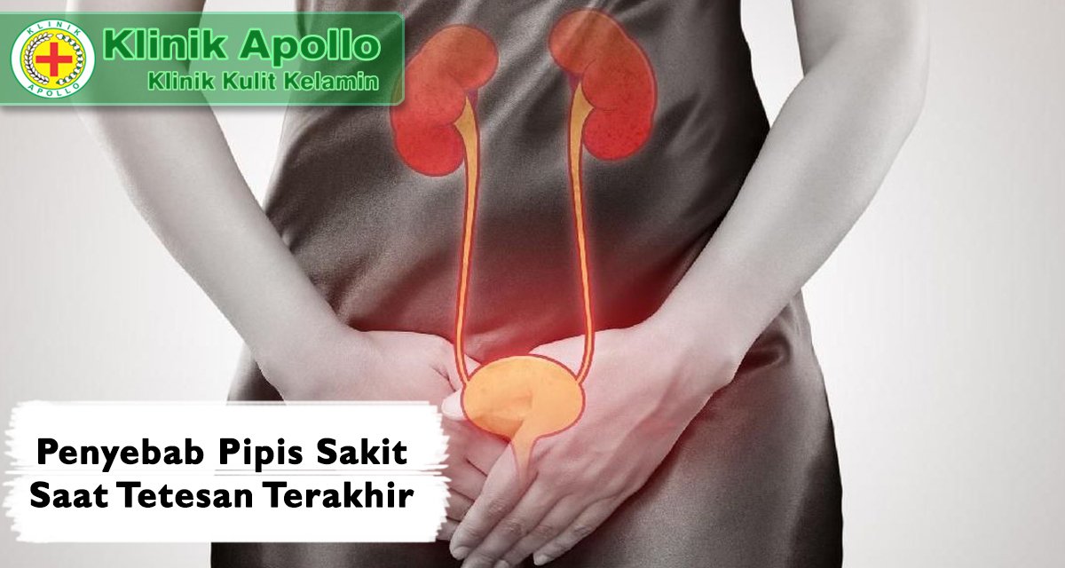 Pipis Sakit Perumperindo co id